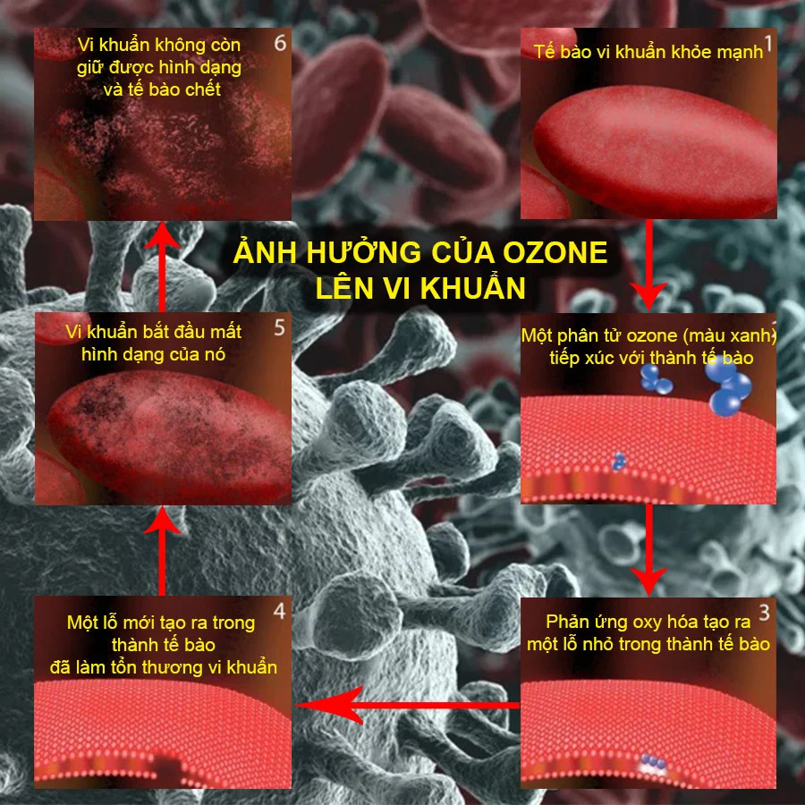 Tiêu chuẩn ứng dụng nồng độ khử trùng ozone trong các loại môi trường - ozonetech